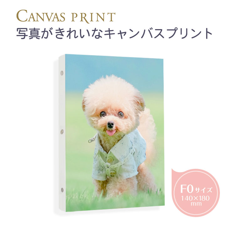 キャンバスプリント 【F0サイズ タテ型】